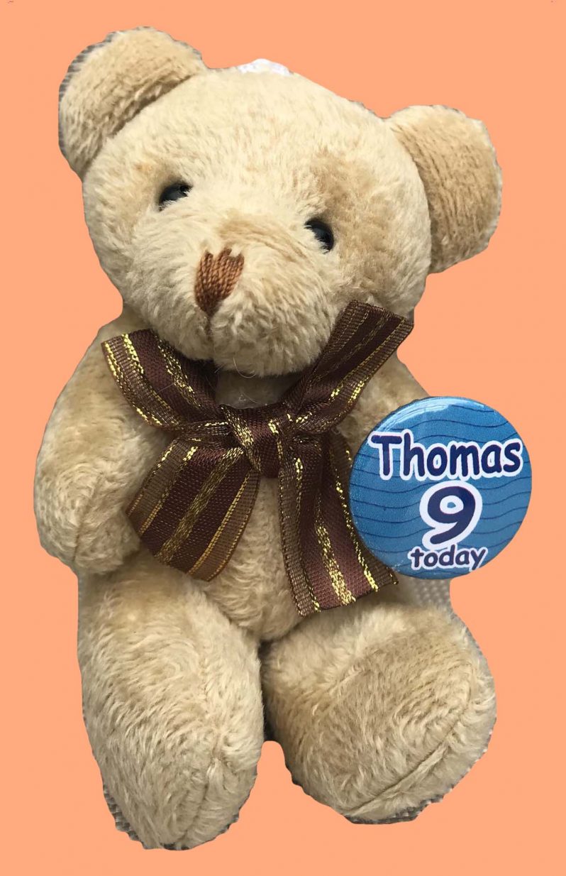 Teddy Bears - Custom Badges,Rosettes,Sashes & Printed Ribbon